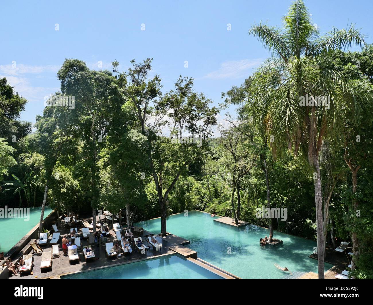 Forest vibes hi-res stock photography and images - Alamy