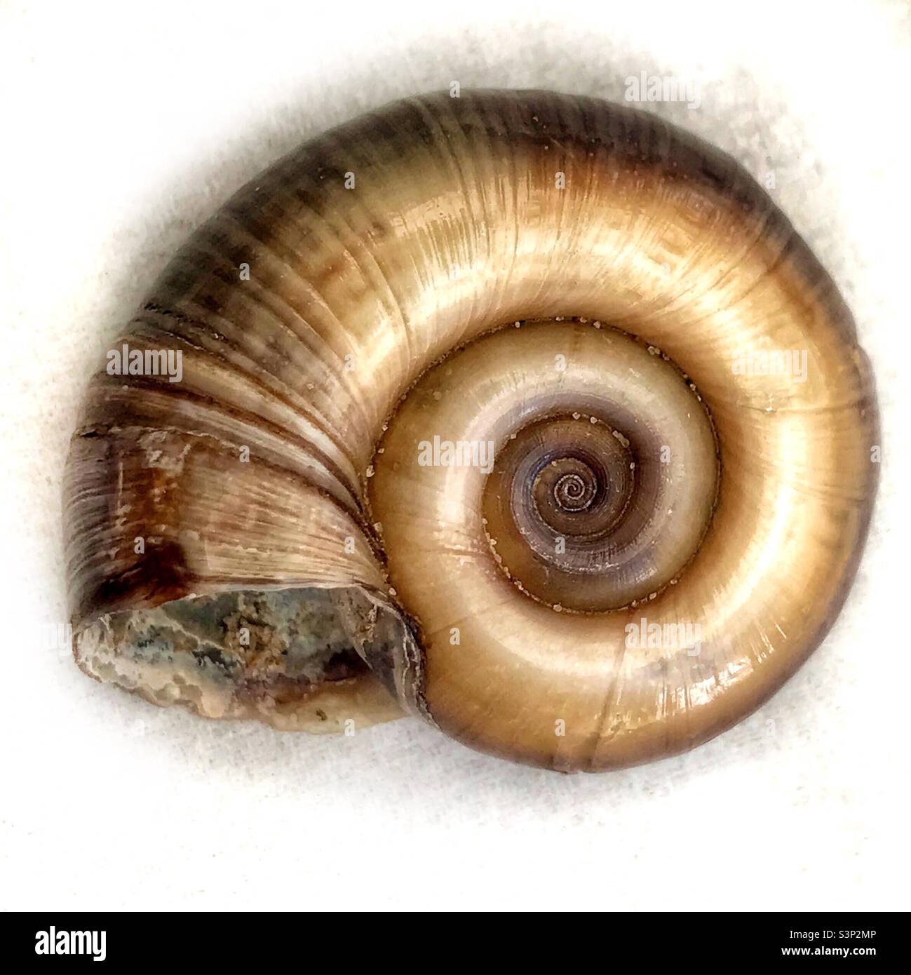 Like a circle in a spiral hi-res stock photography and images - Alamy