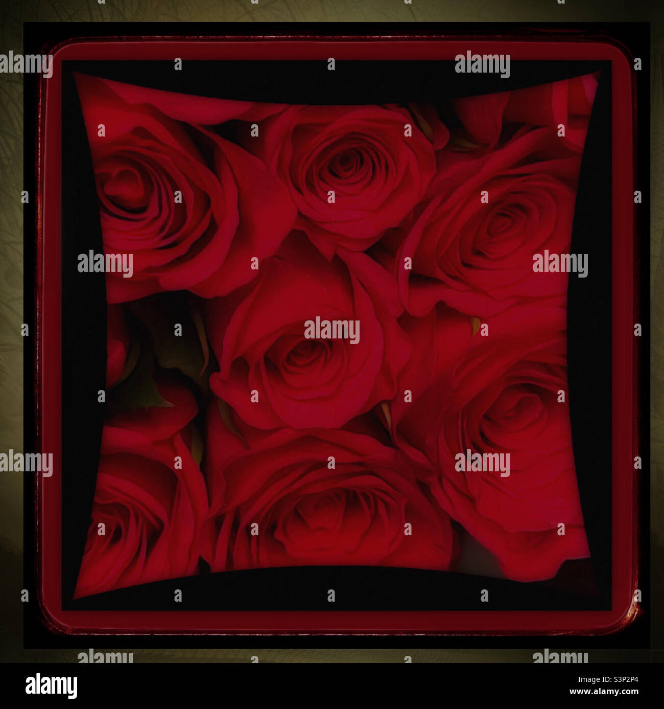 Red roses picture hi-res stock photography and images - Alamy