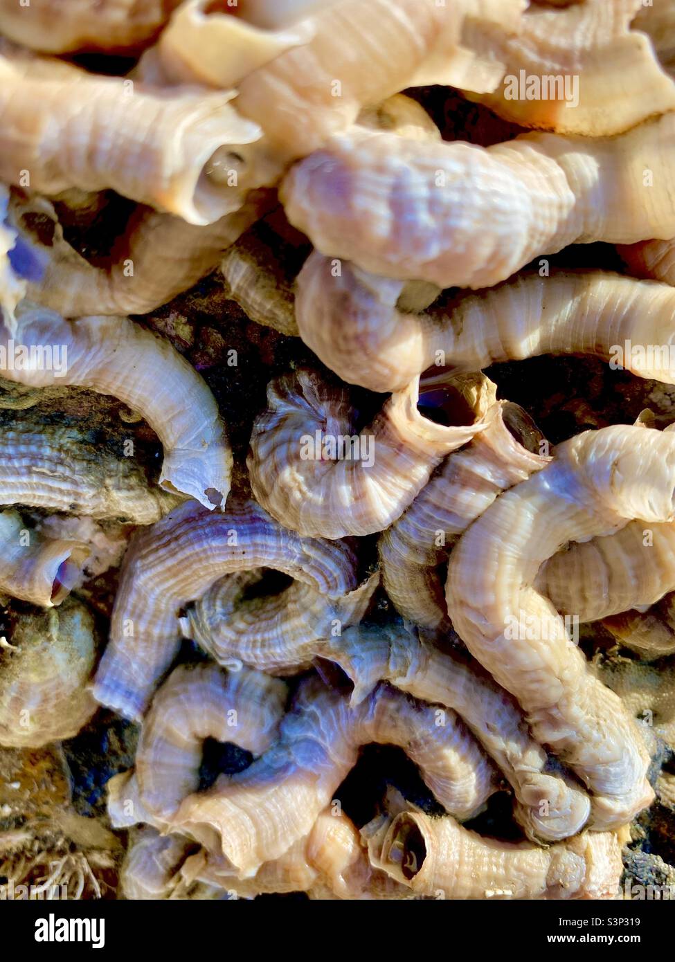 Maze of tubes Stock Photo - Alamy