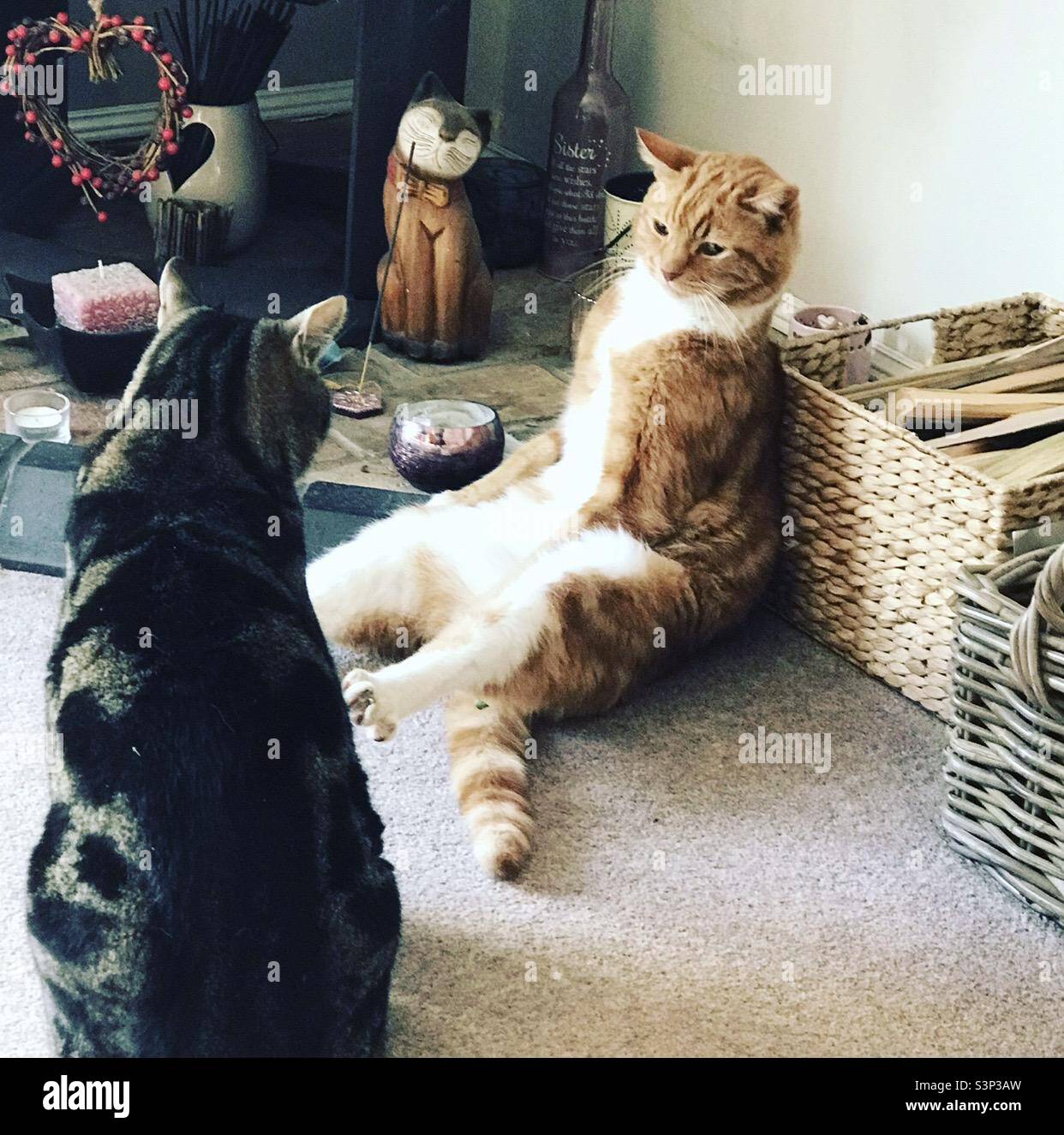 Brothers fighting hi-res stock photography and images - Alamy