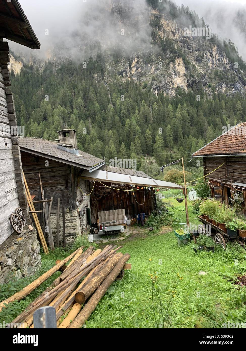 Magic wood hi-res stock photography and images - Alamy