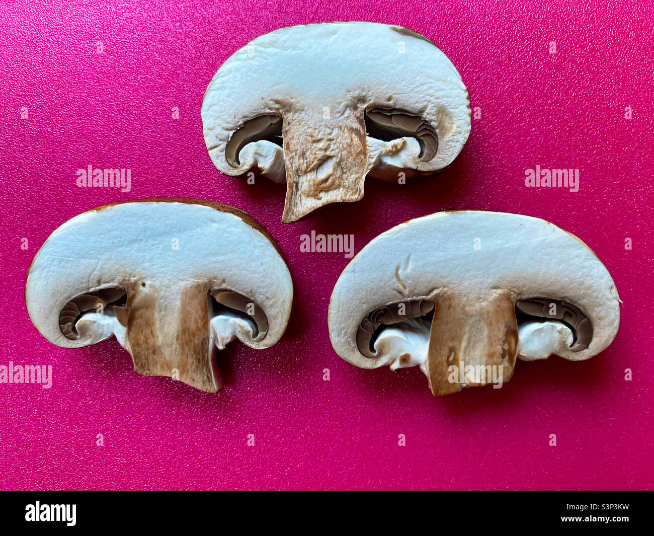 Three mushroom slices Stock Photo - Alamy