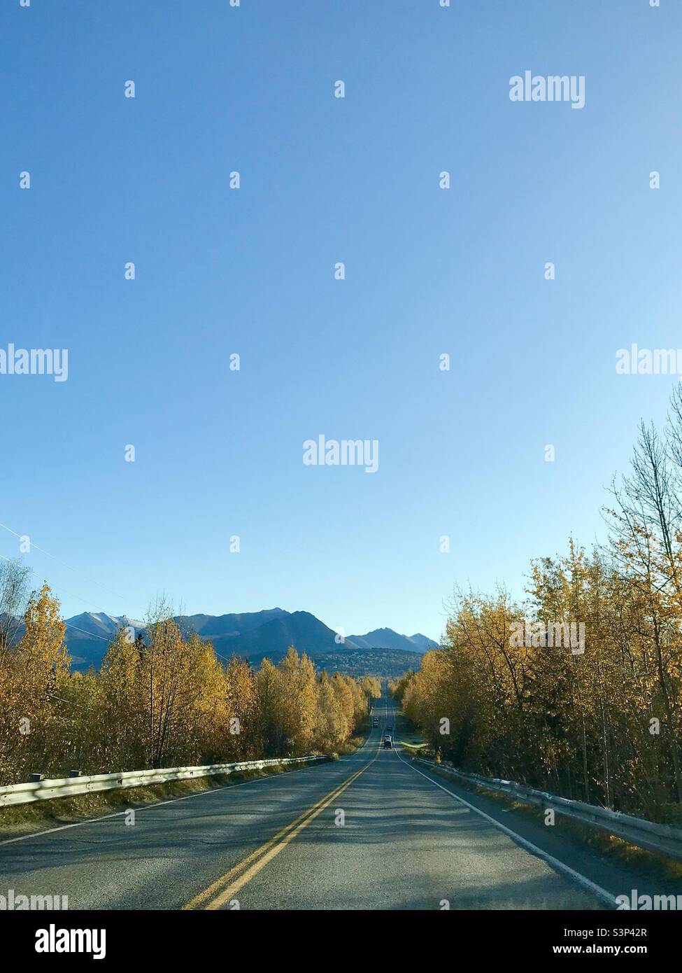 Fall in the Hillside neighborhood of Anchorage, Alaska along O’Malley ...