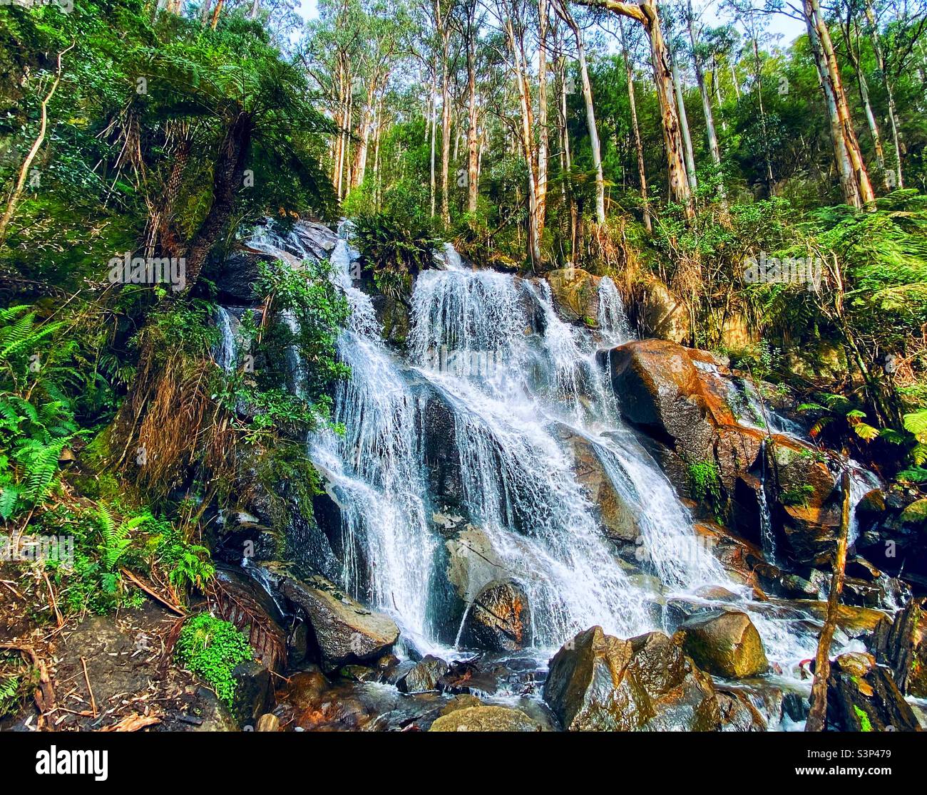 Massive waterfalls in the jungle Stock Photo - Alamy