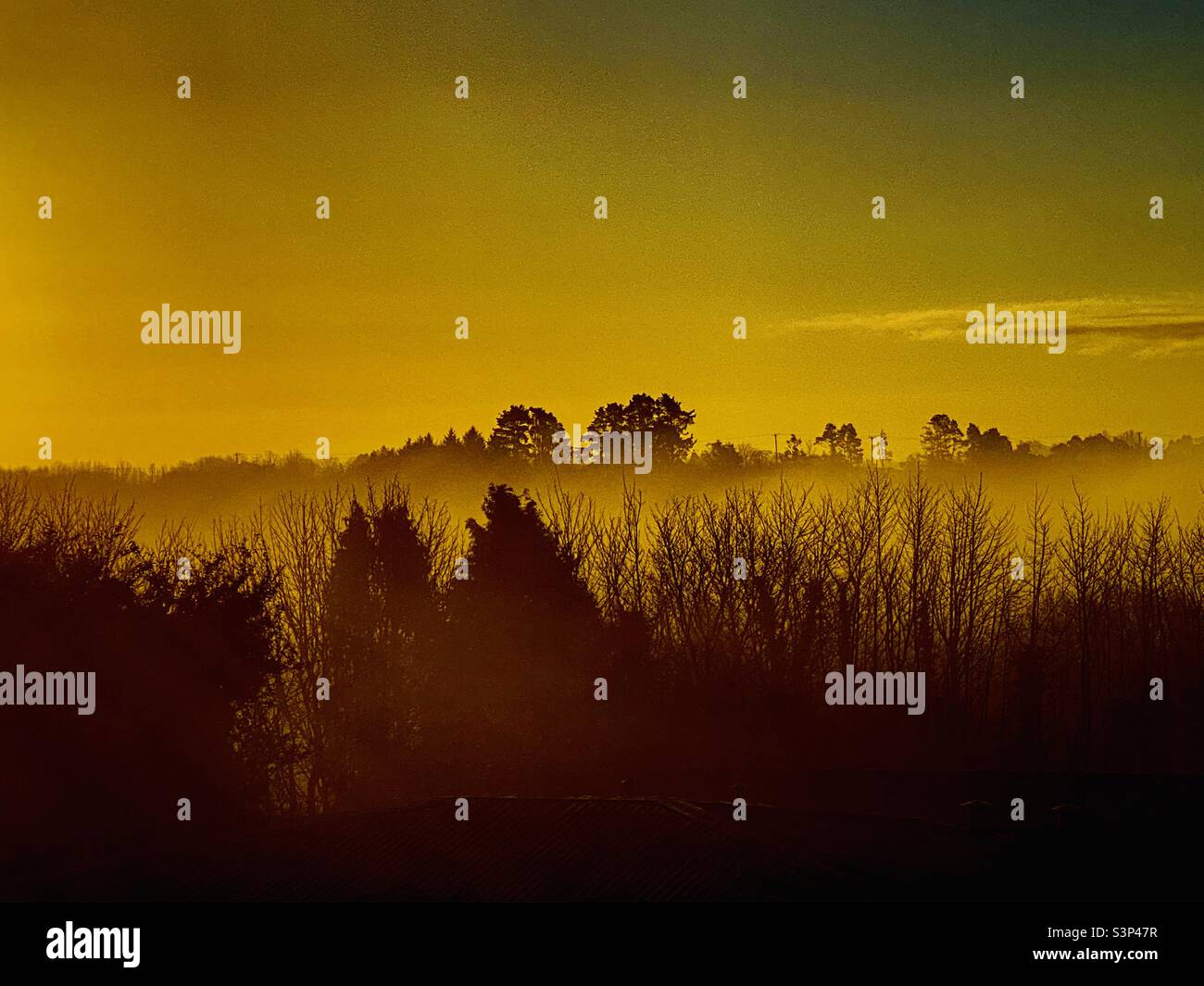 Cornwall sunrise warm amber light on landscape Stock Photo - Alamy