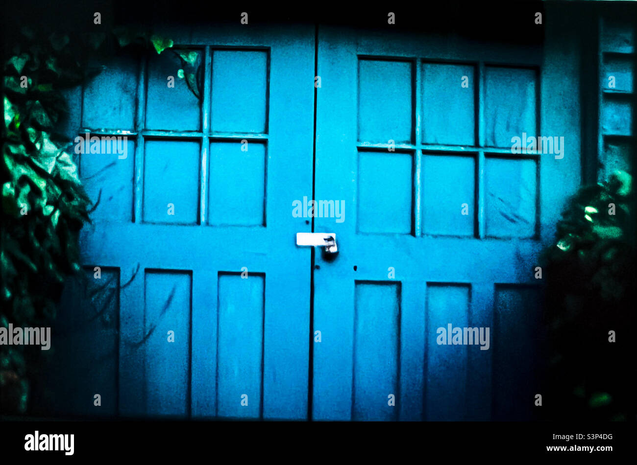 Blue shed door with Ivy and padlock Stock Photo - Alamy