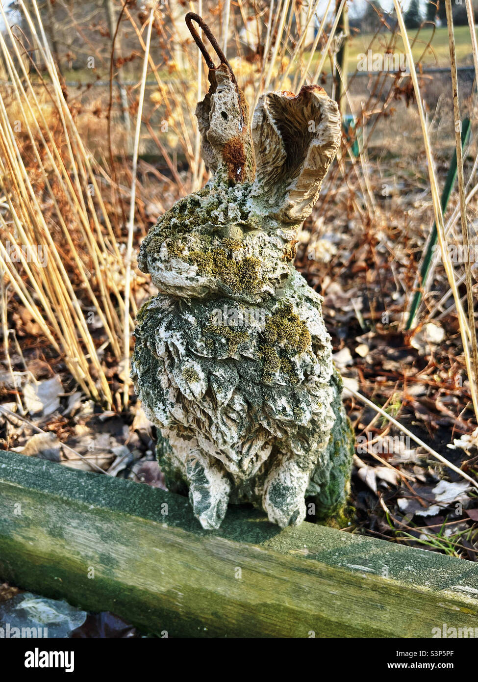 Weathered old rabbit statue in winter garden bed Stock Photo - Alamy