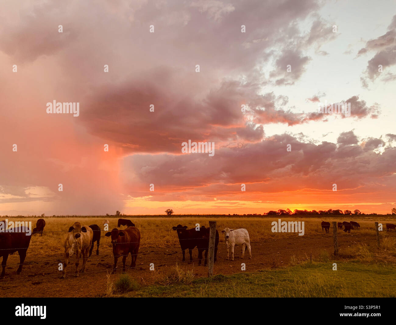 Rain on the ground hi-res stock photography and images - Alamy