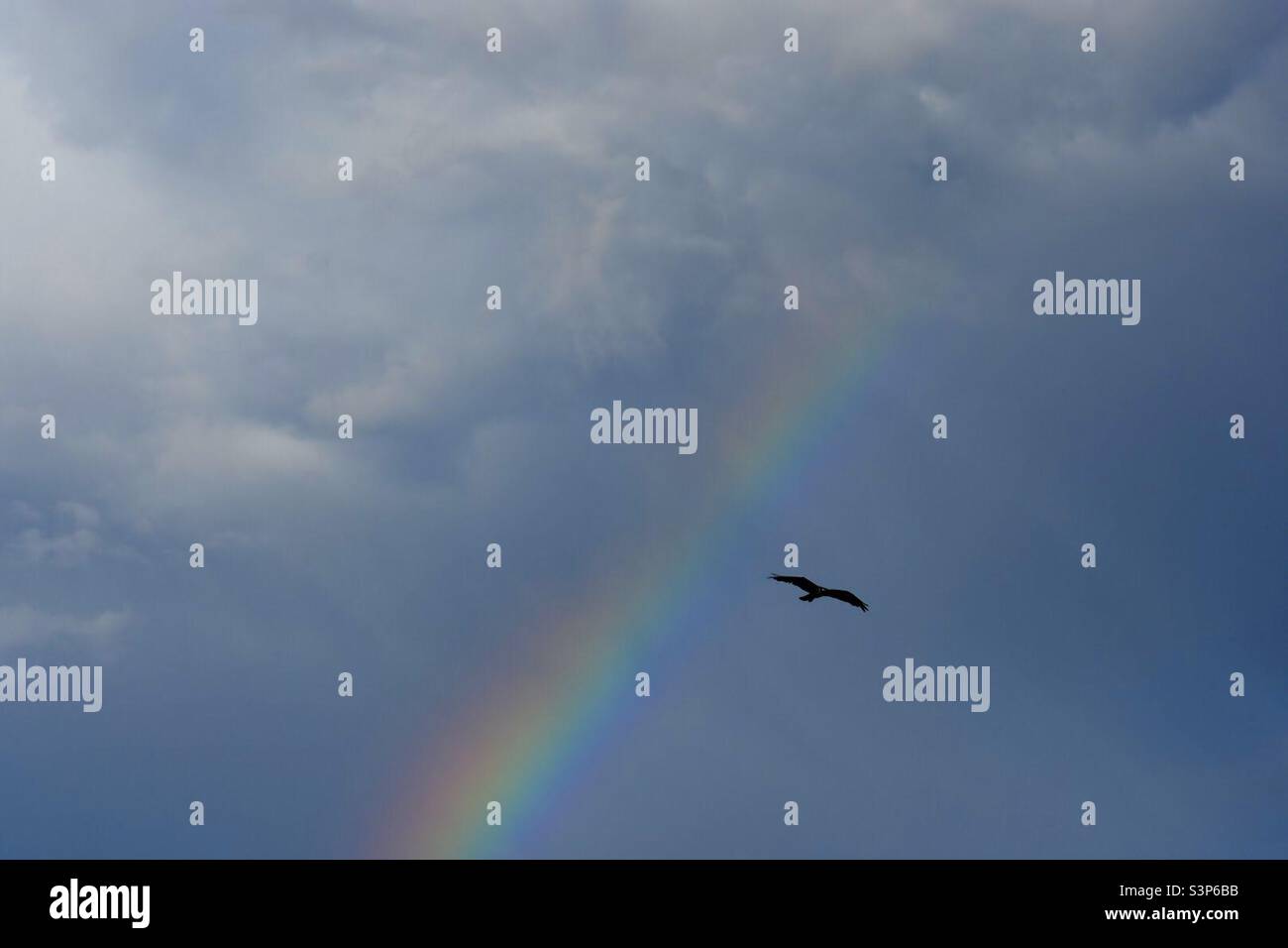 Flying the rainbow hi-res stock photography and images - Alamy