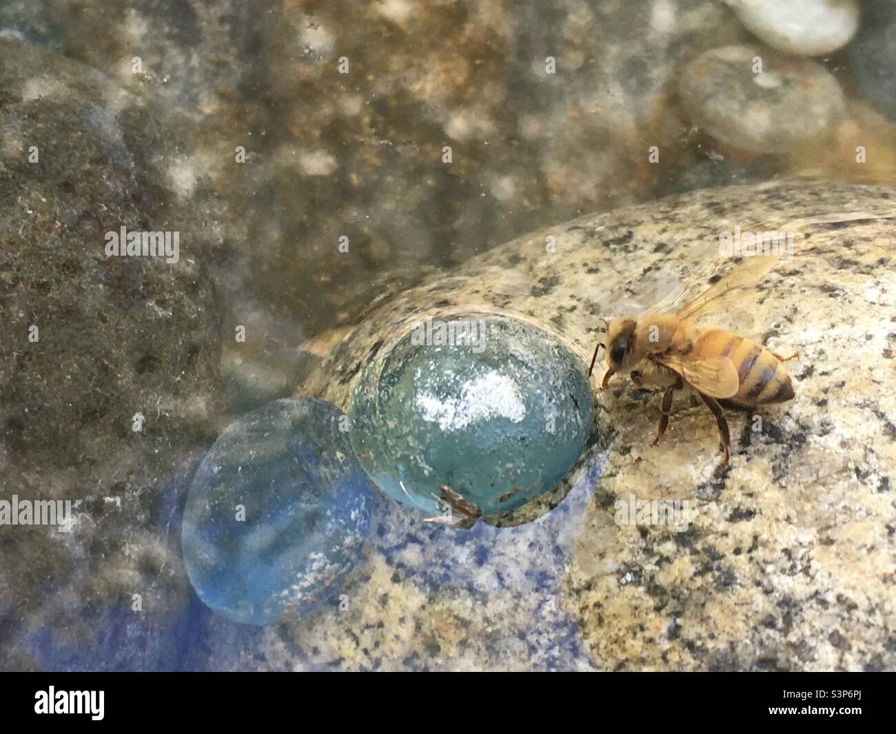 Taking a big sip Stock Photo - Alamy