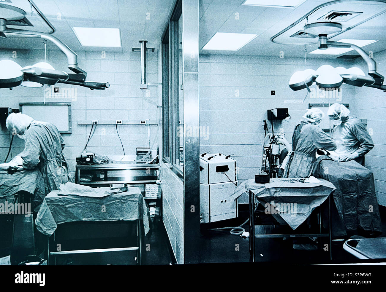 Veterinary hospital operating room Stock Photo - Alamy