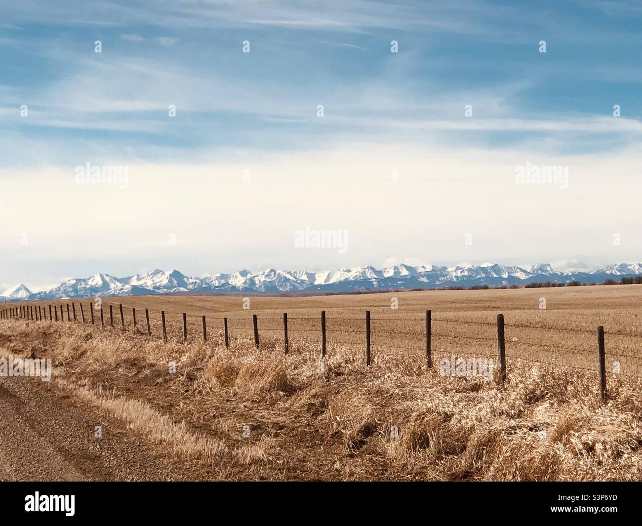 Alberta prairies mountains in the background Stock Photo - Alamy