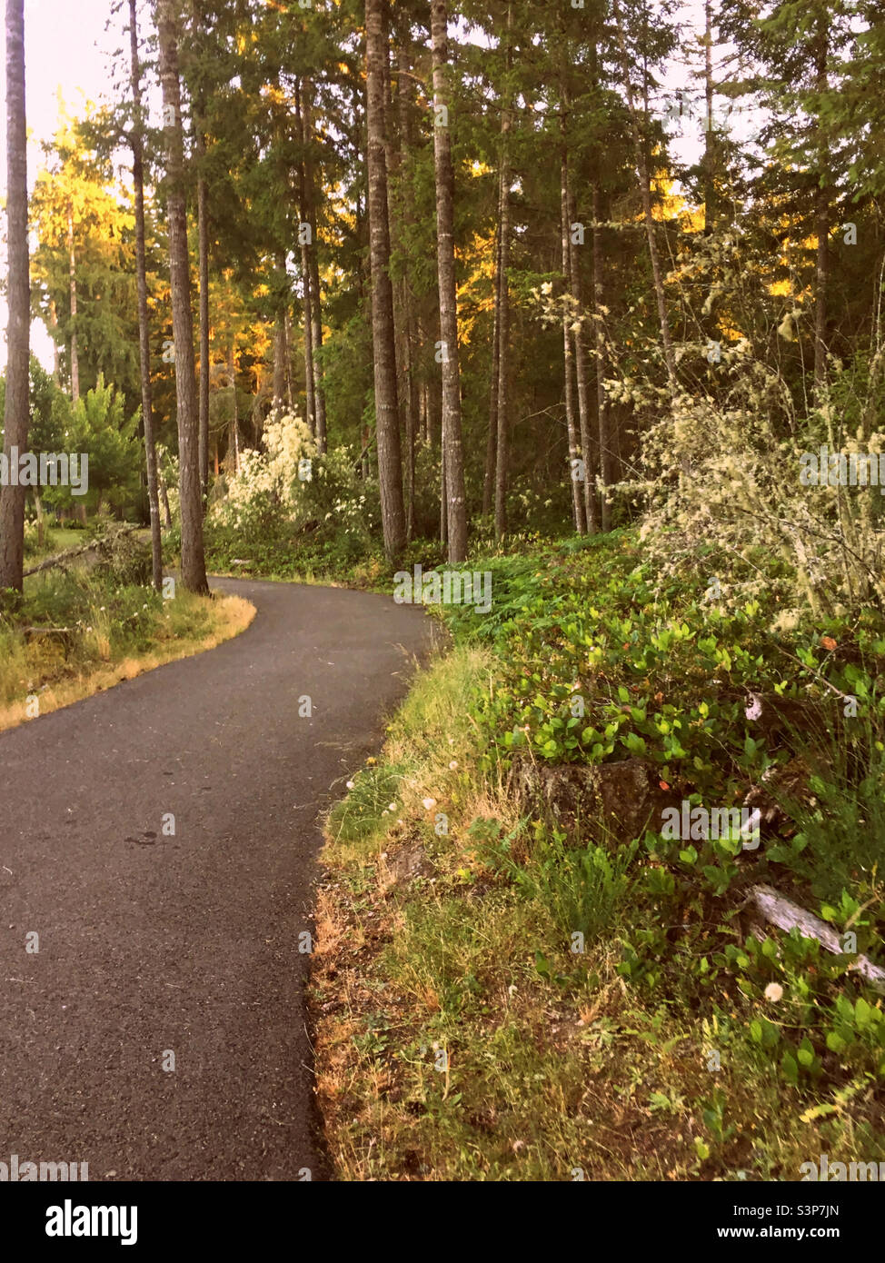 Lacey wa hi-res stock photography and images - Alamy