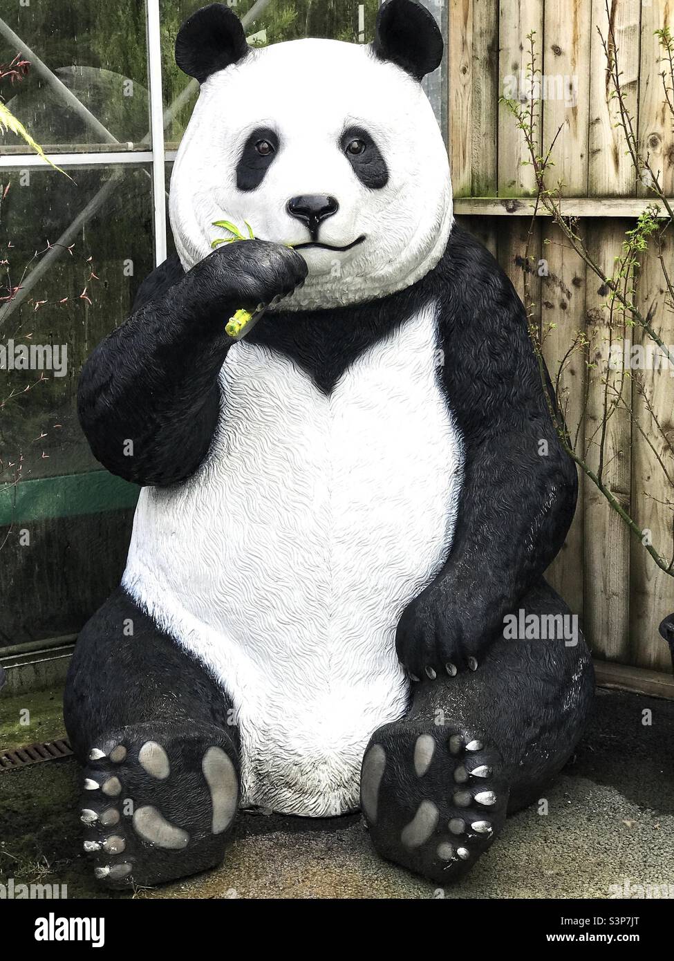 Chilled bear hi-res stock photography and images - Alamy