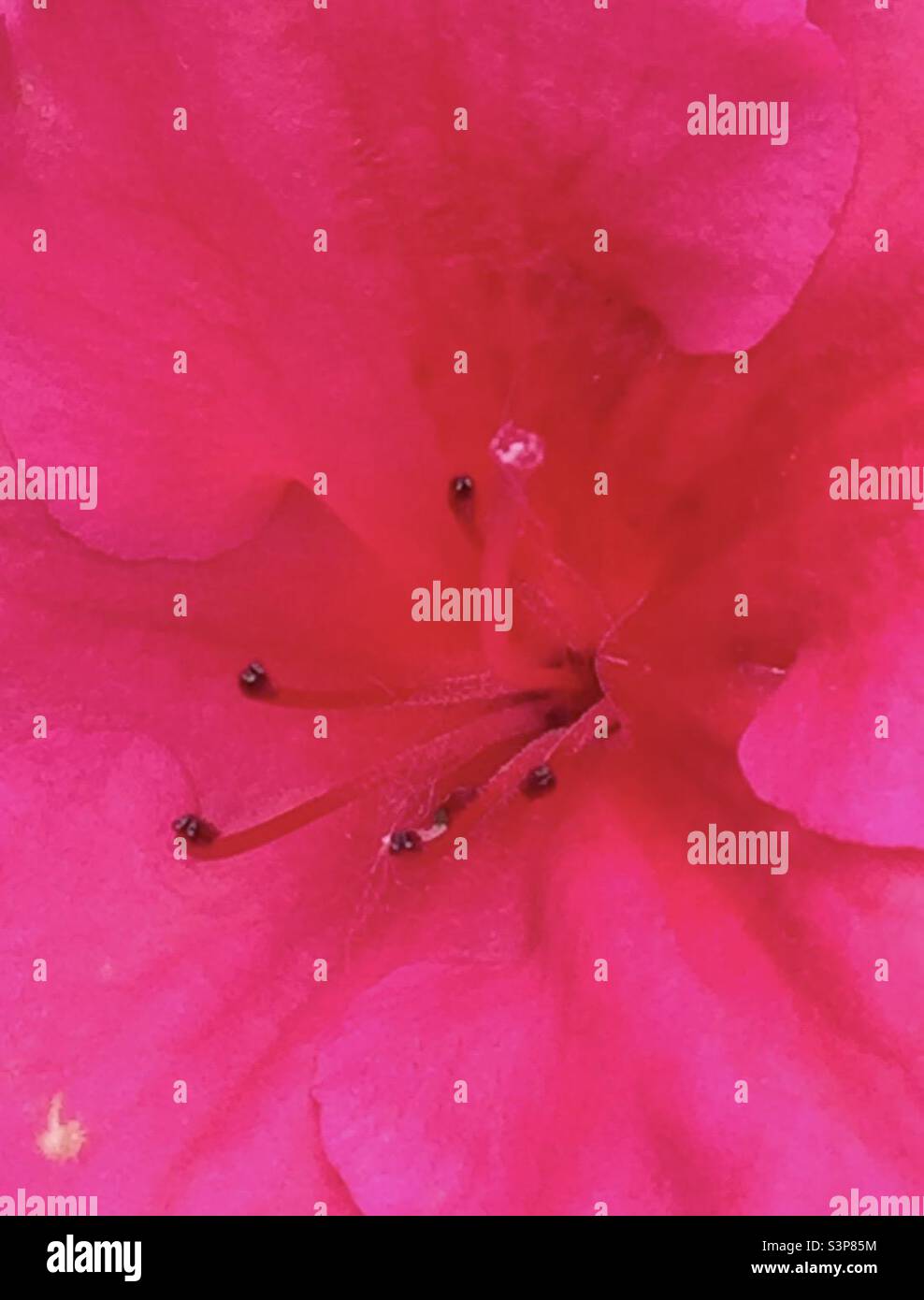 Pink block colour hi-res stock photography and images - Alamy