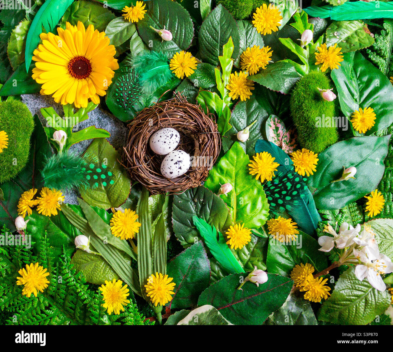 Spring themed flat lay with leaves, flowers, feathers and bird’s nest ...