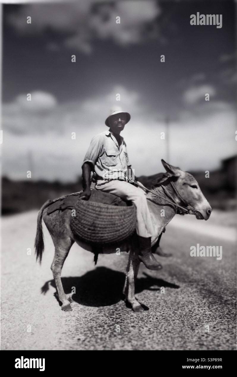 West indies farm smartphone stock photos and images - Alamy