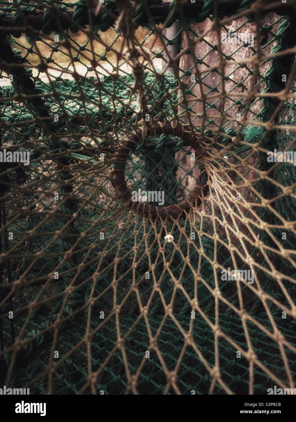 Lobster net hi-res stock photography and images - Alamy