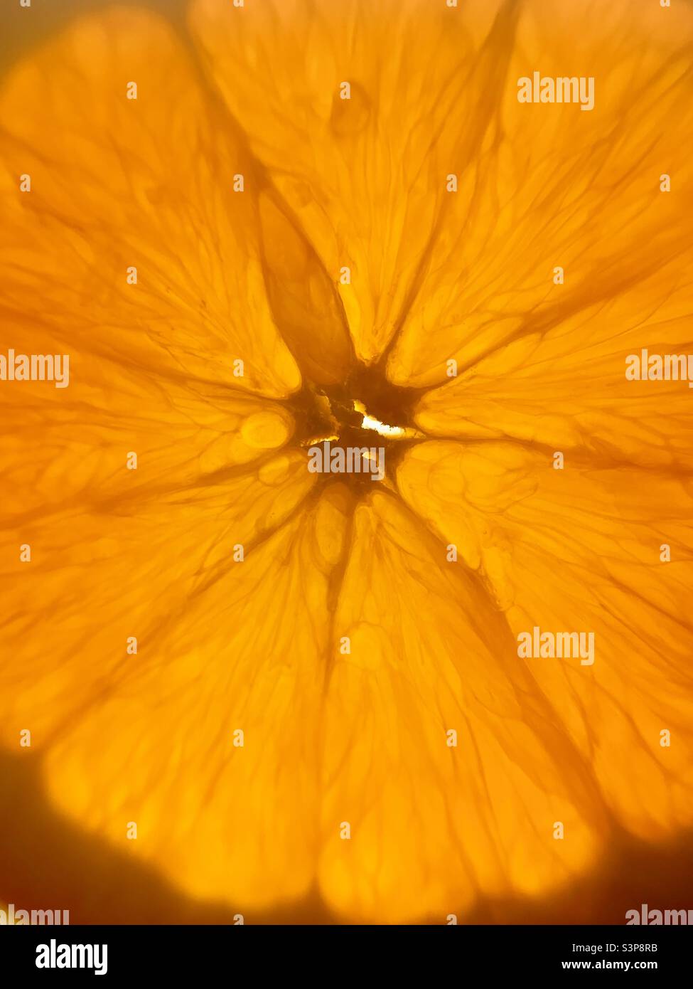 Orange slice up close Stock Photo - Alamy