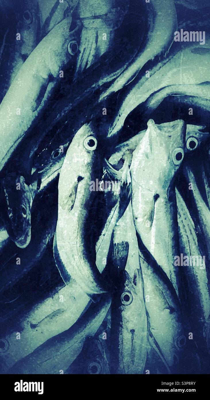 Mouth full of fish hi-res stock photography and images - Alamy