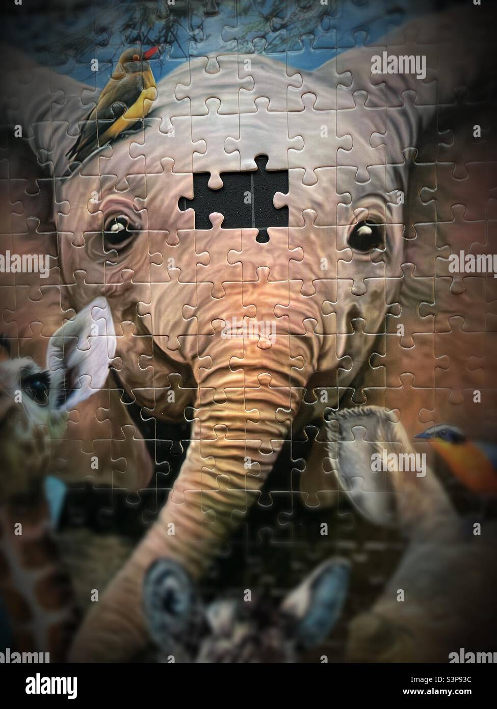 Jigsaw puzzle with a piece missing on the four head of an African ...