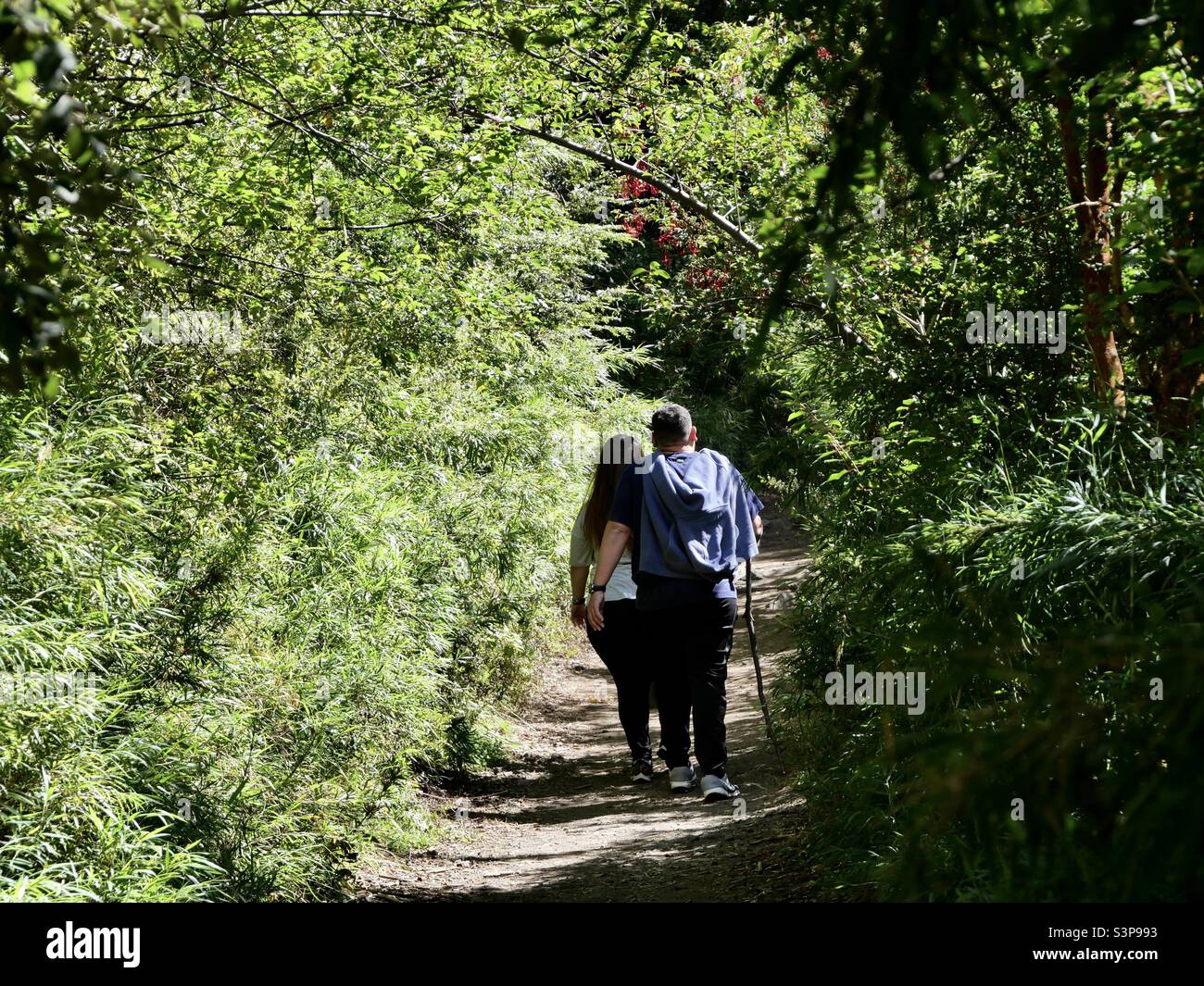 Walking at nature hi-res stock photography and images - Alamy