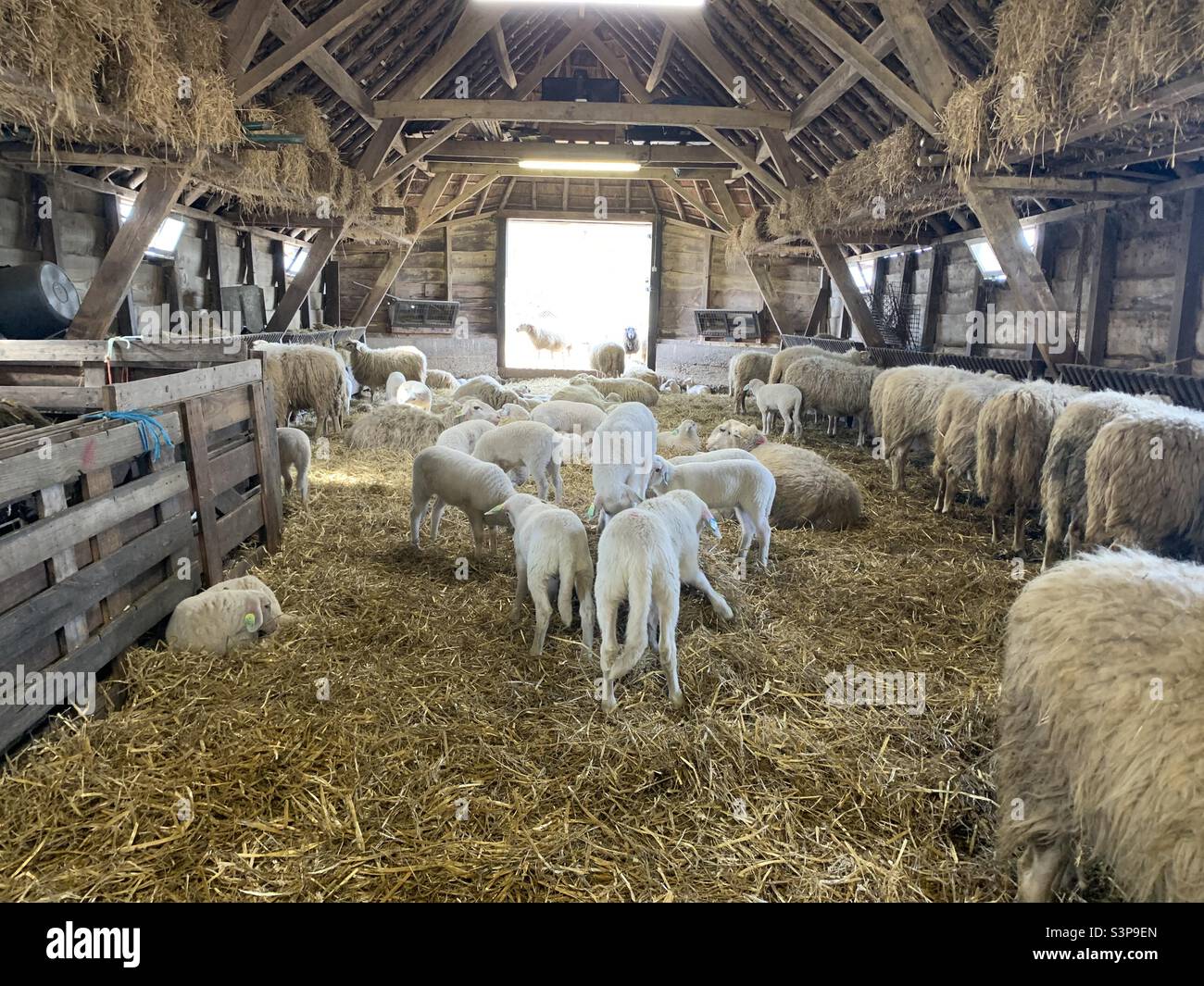 Farm of life hi-res stock photography and images - Alamy