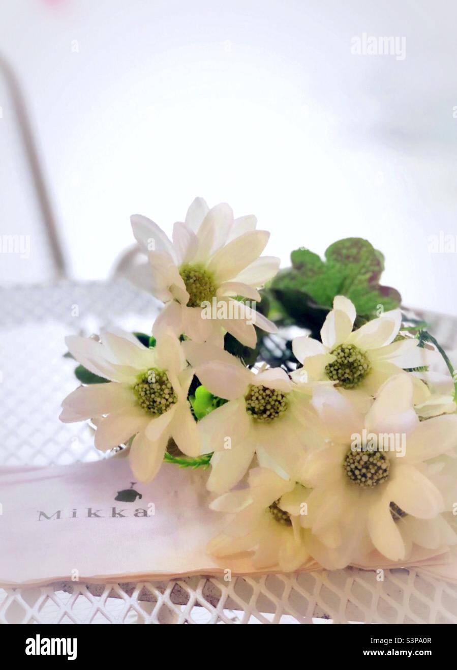 Beauty in the ordinary hi-res stock photography and images - Alamy