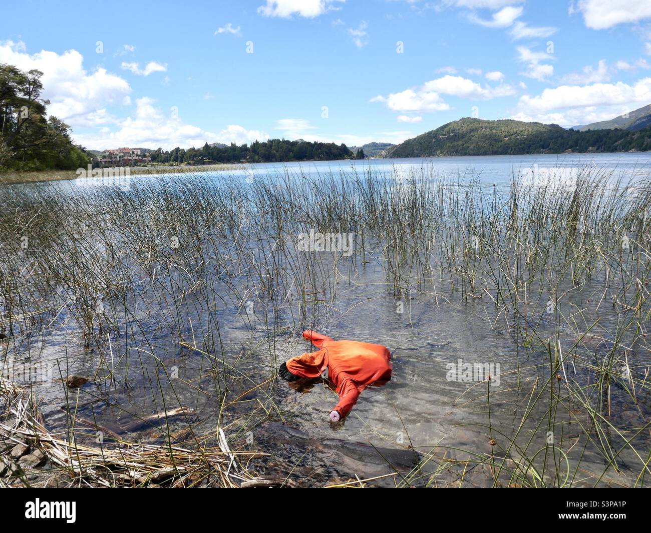 Creepy Water High Resolution Stock Photography and Images - Alamy