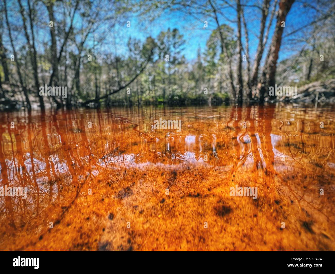 Canoochee river hi-res stock photography and images - Alamy