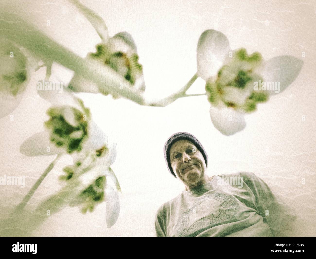 Man worms eye view hi-res stock photography and images - Alamy