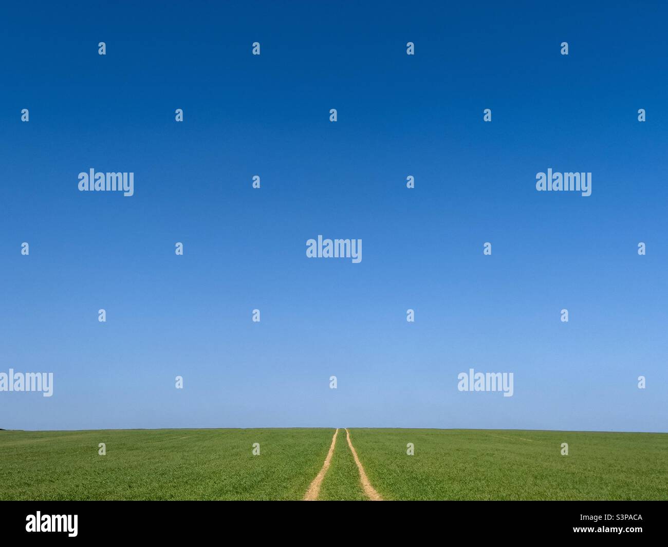 Grass graphic hi-res stock photography and images - Alamy