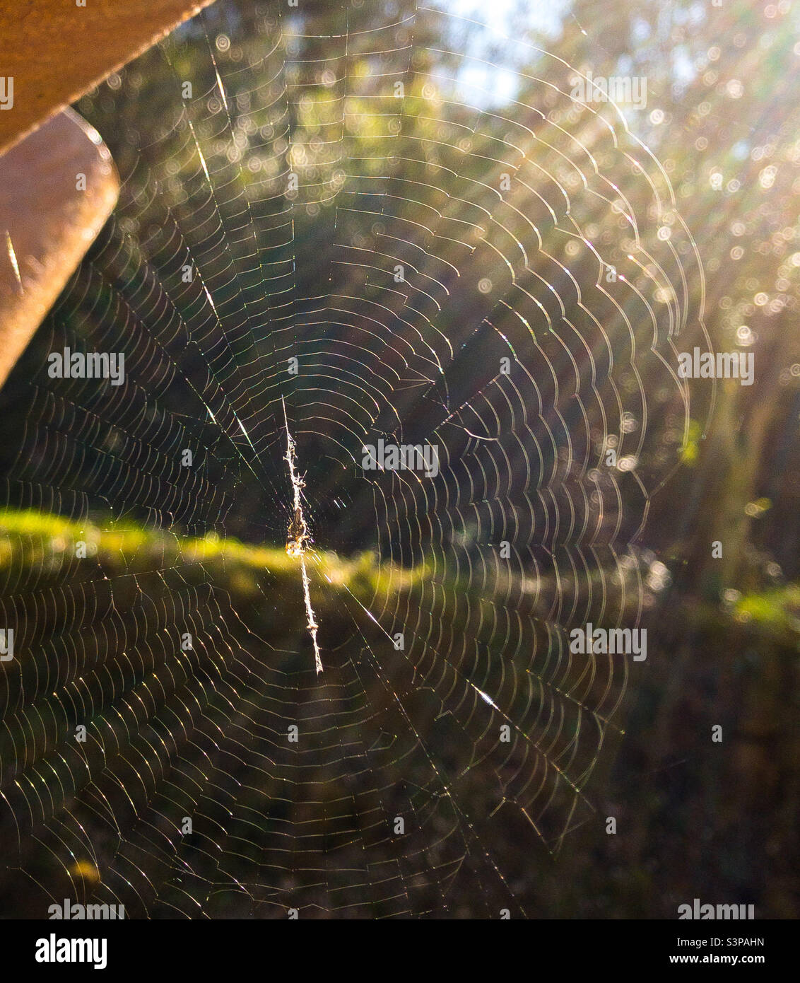 Natural light rays hi-res stock photography and images - Alamy