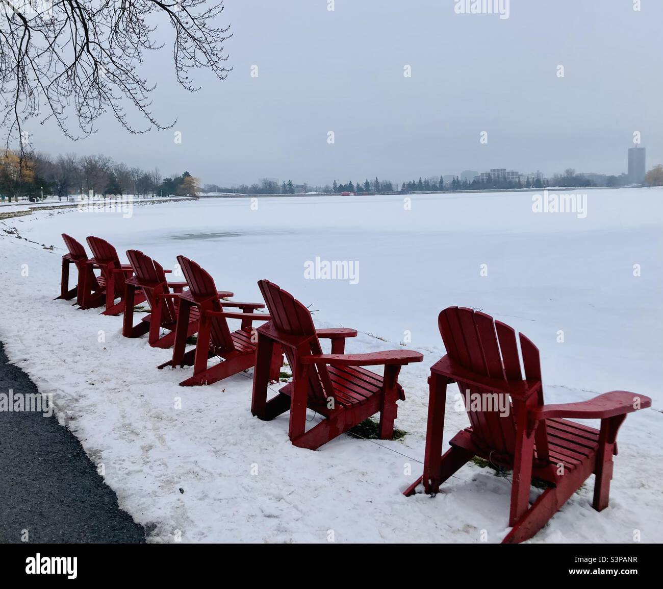 Muskoka chairs hi-res stock photography and images - Alamy