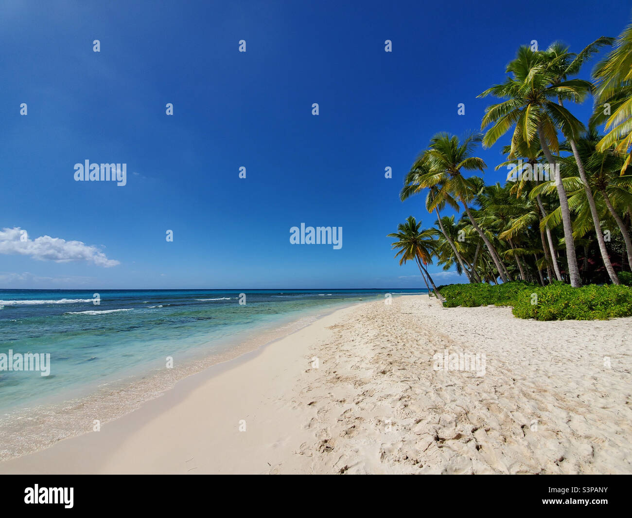 Tropical caribbean beach hi-res stock photography and images - Alamy