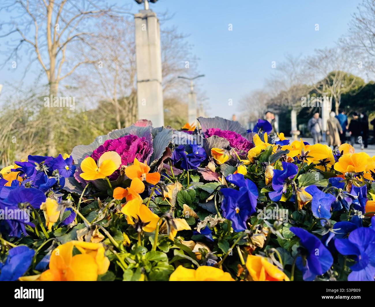 Spring in Shanghai Stock Photo - Alamy