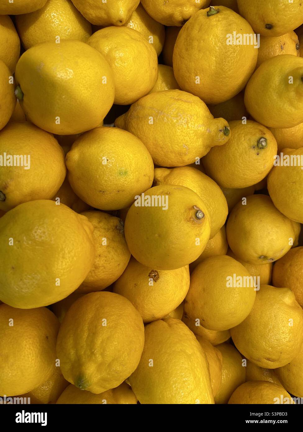Load of lemons Stock Photo - Alamy