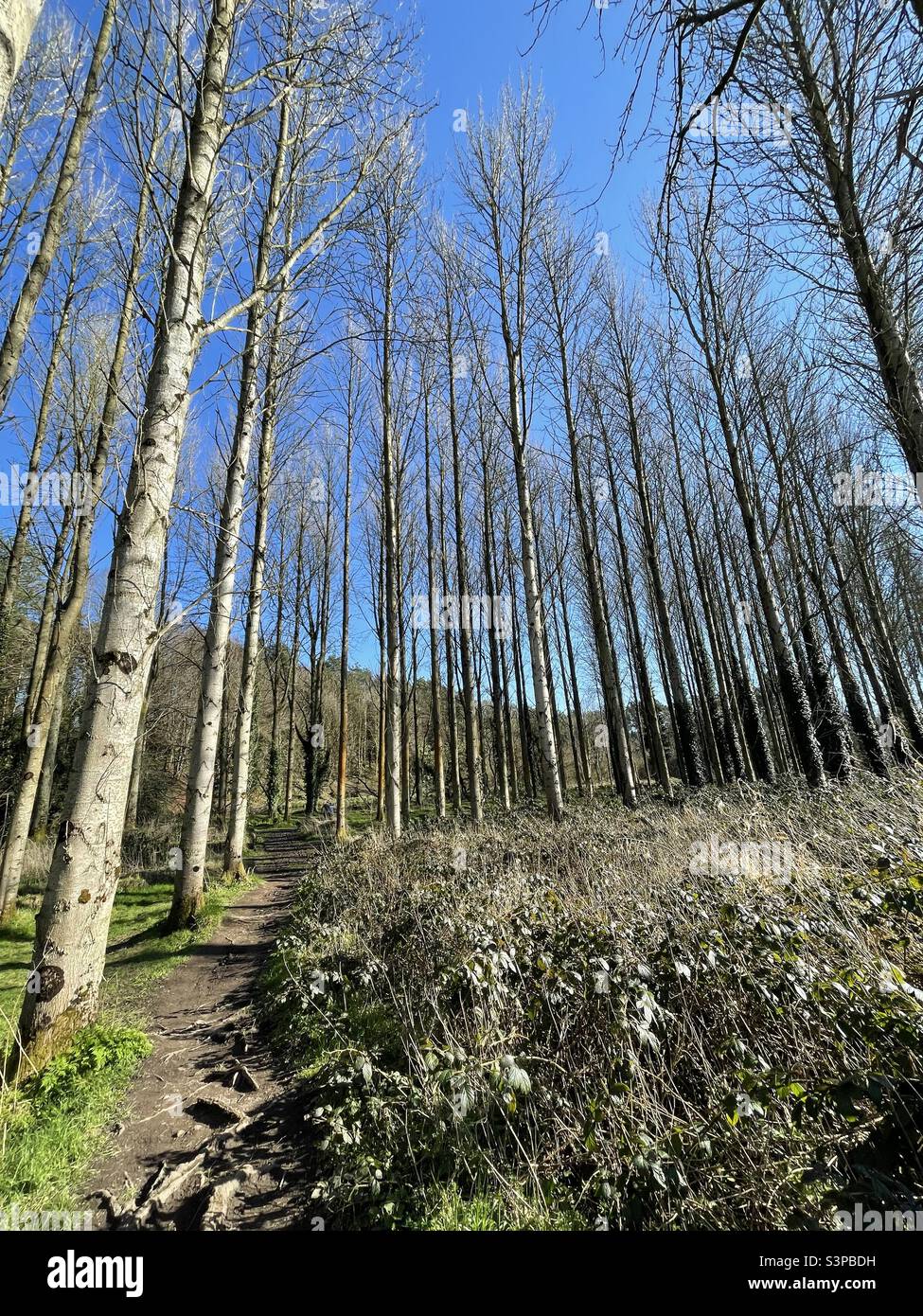 Laganmeadows hi-res stock photography and images - Alamy