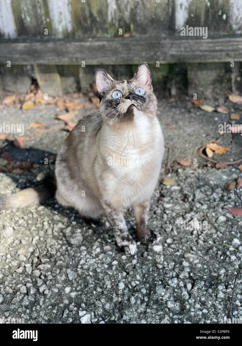 Movements of the eyes hi-res stock photography and images - Alamy