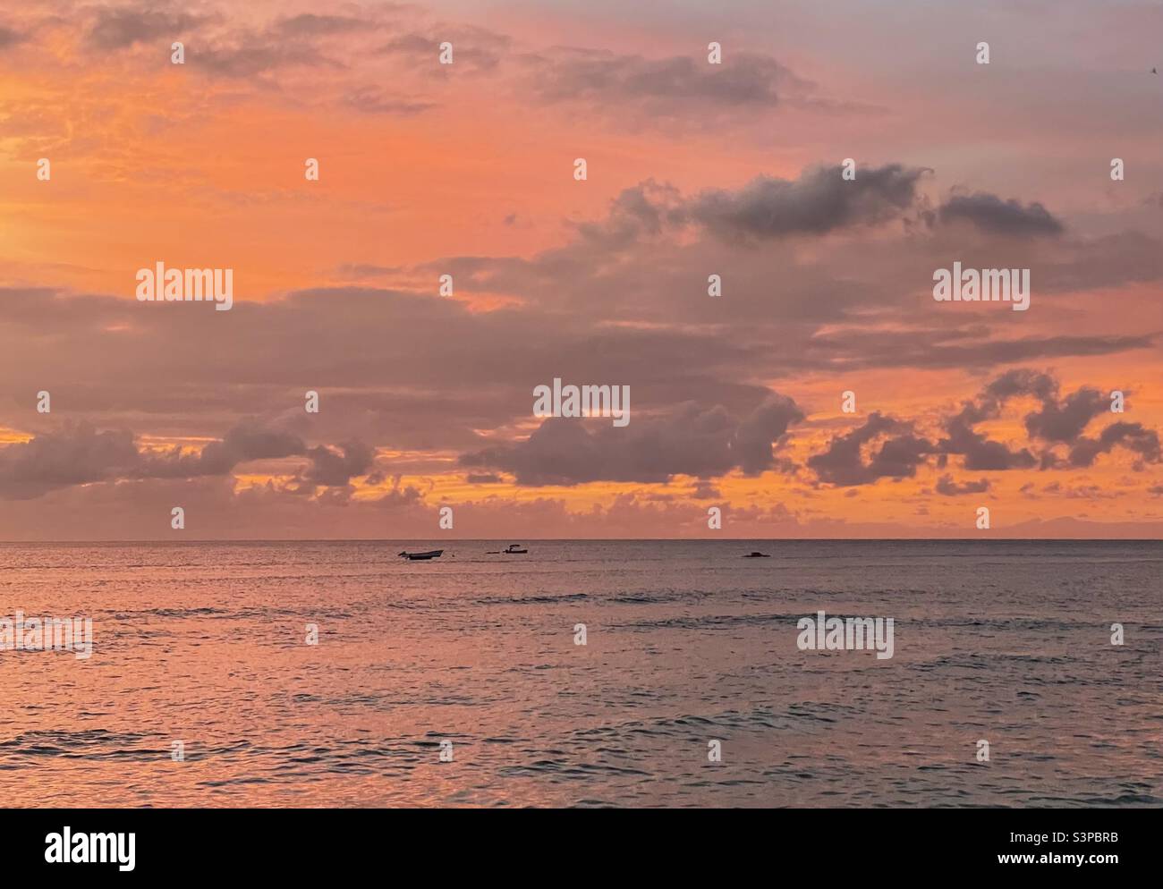 Barbados at night hi-res stock photography and images - Alamy