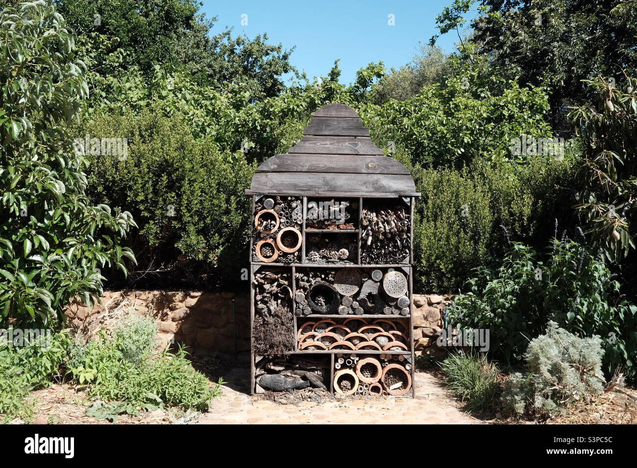 Garden textures hi-res stock photography and images - Alamy