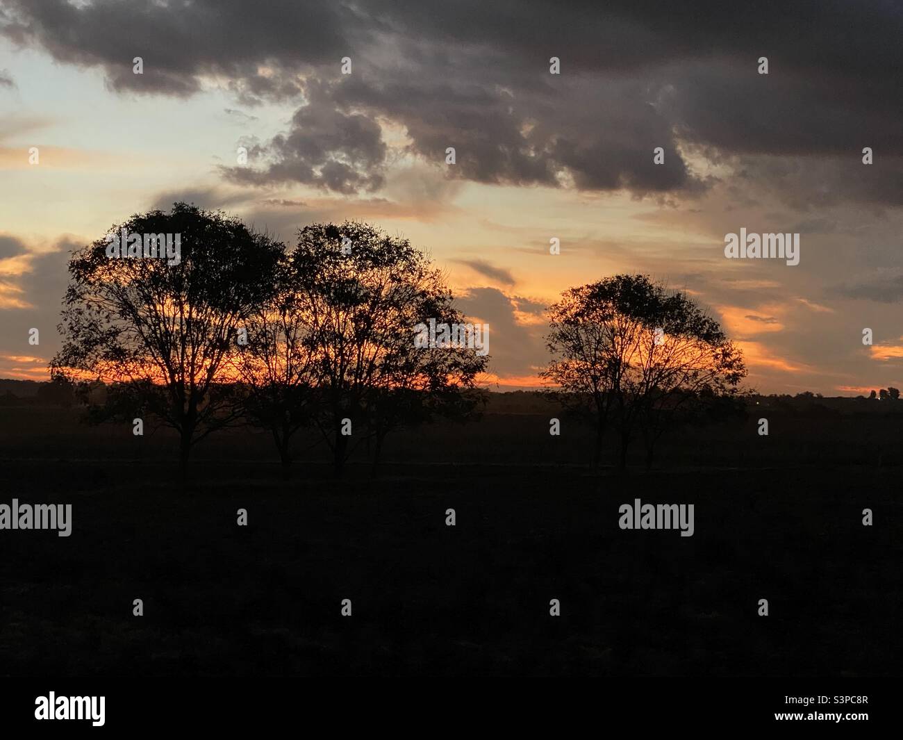 Tree sundown hi-res stock photography and images - Alamy