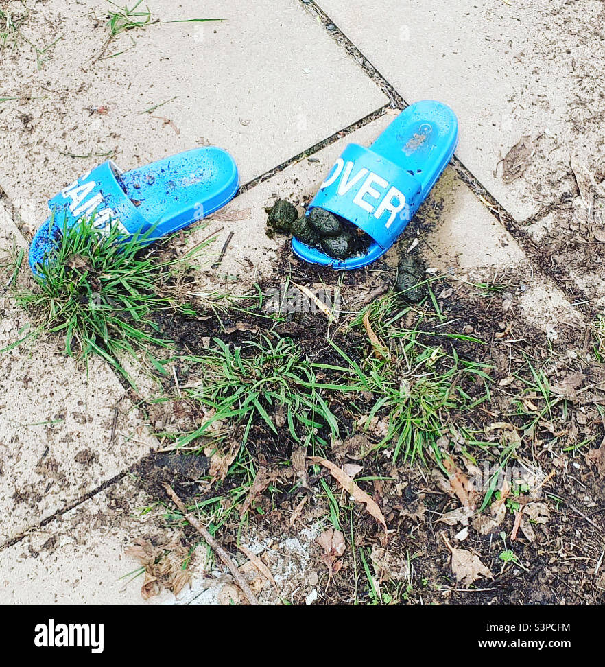 Badwombat hi-res stock photography and images - Alamy