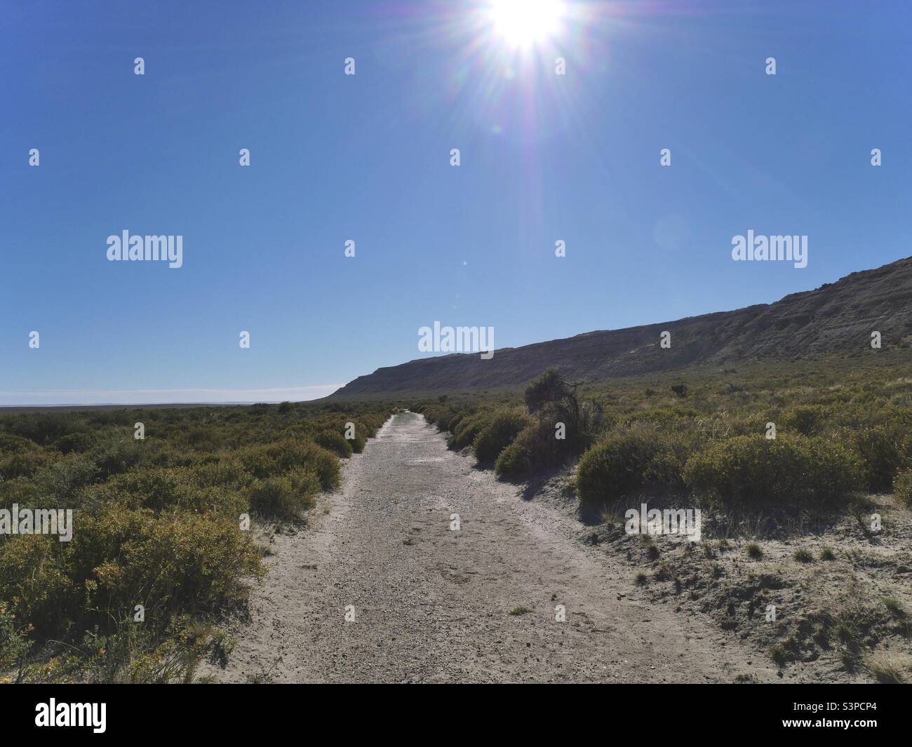 Open road in desert hi-res stock photography and images - Alamy