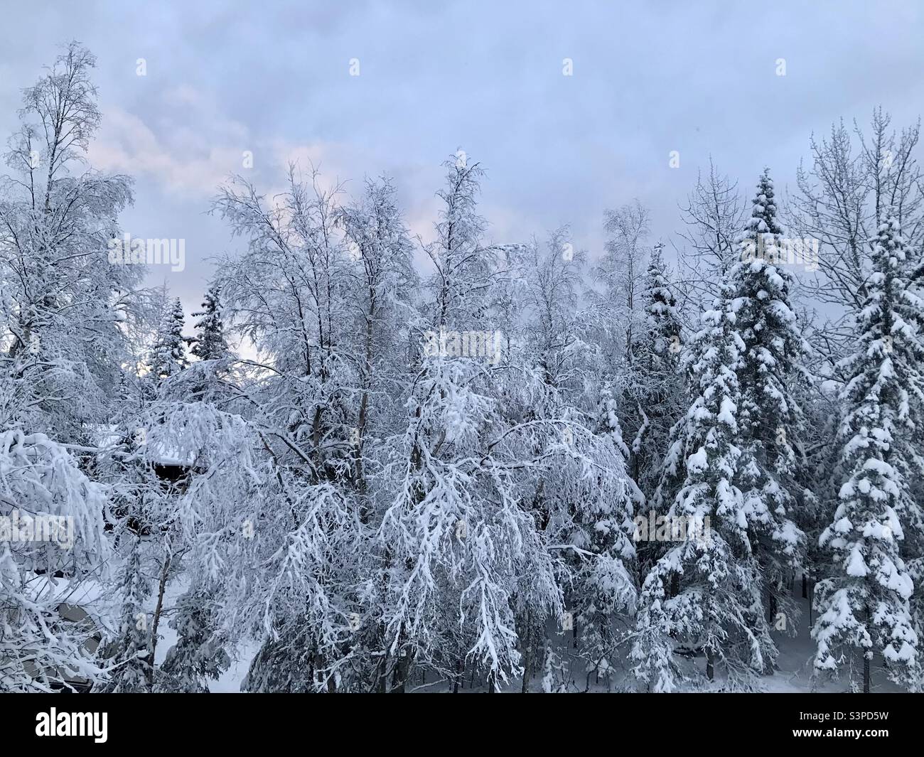 Alaska anchorage snowstorm hi-res stock photography and images - Alamy