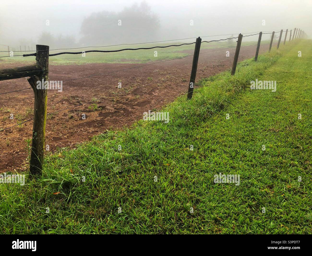 The contrast between a grazed and un-grazed paddock Stock Photo - Alamy