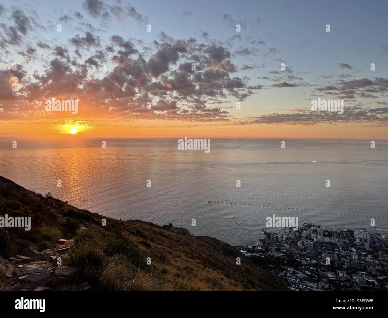 Lionshead hi-res stock photography and images - Alamy