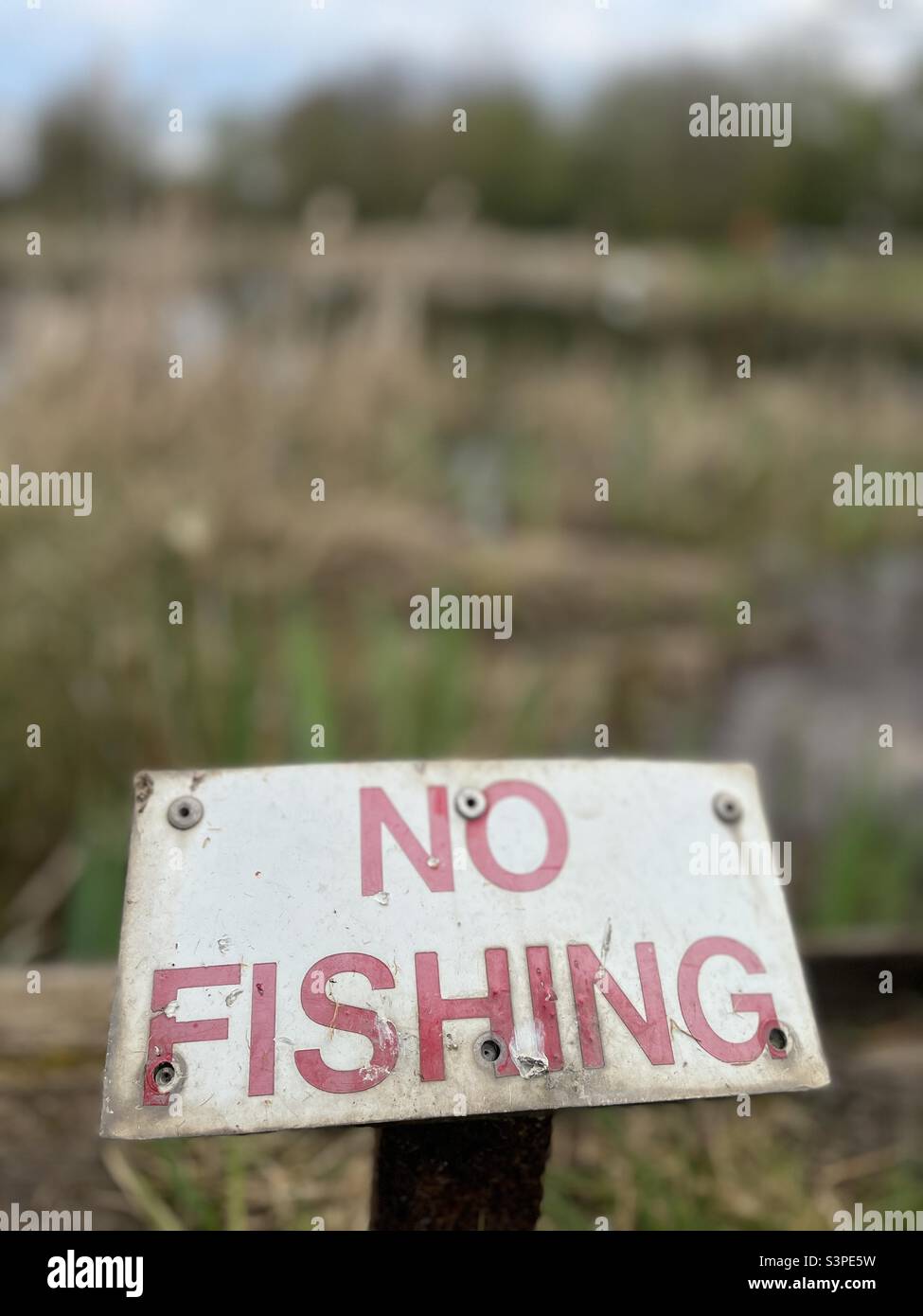 No Fishing sign lake edge Stock Photo - Alamy