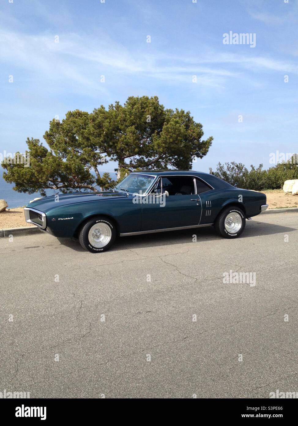 1967 pontiac firebird hi-res stock photography and images - Alamy